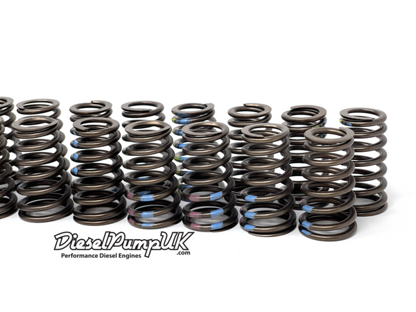 Inlet & Exhaust Valve Springs – DieselPumpUK Shop